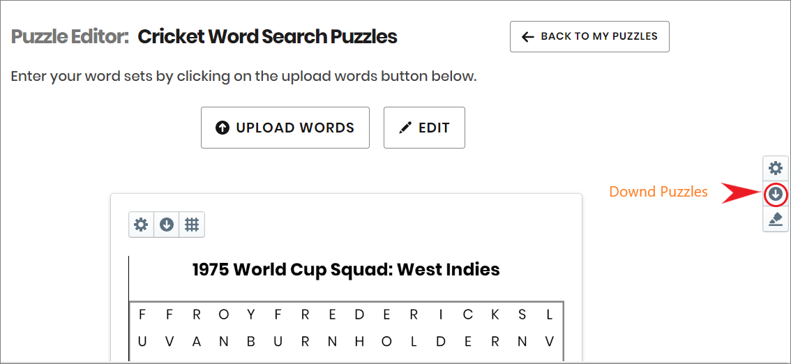 Instant Puzzle Generator Review - Create Stunning Word Search Books ...